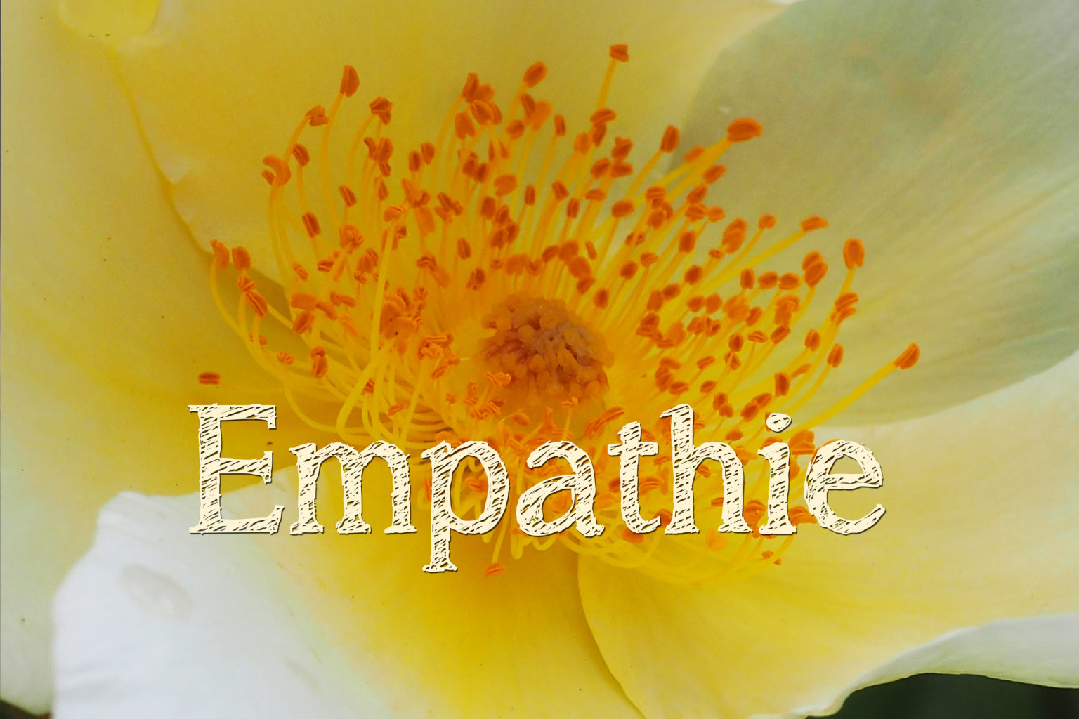 Entreprendre en conscience et aider nos collaborateurs à mieux vivre l ...